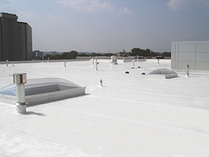 All About TPO Single-Ply Roofing | Core Values Construction